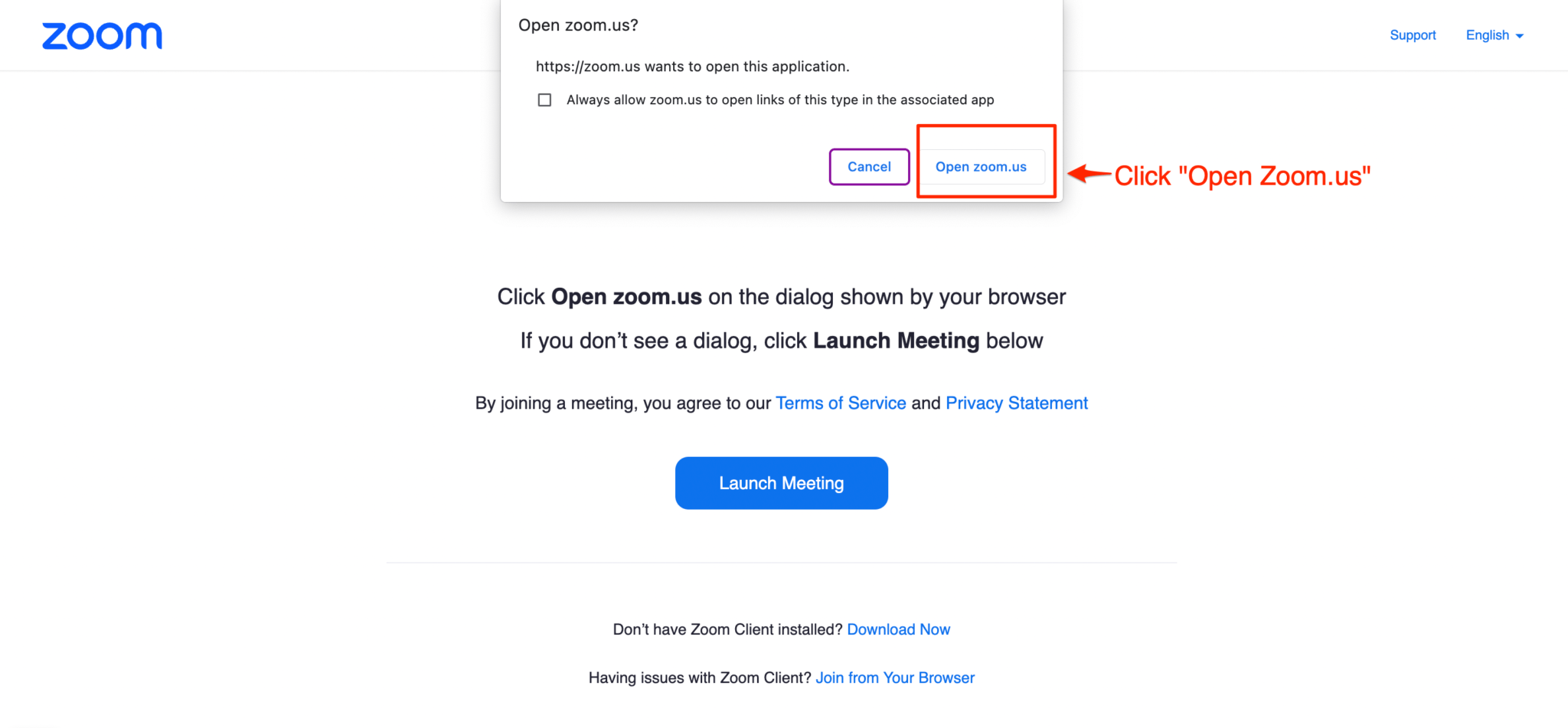 **SINGLE CLICK** Zoom Camera Test - with Zoom Audio Test - No more ...